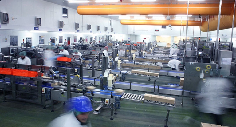 Semi Automatic Case Packers - Endoline Automation