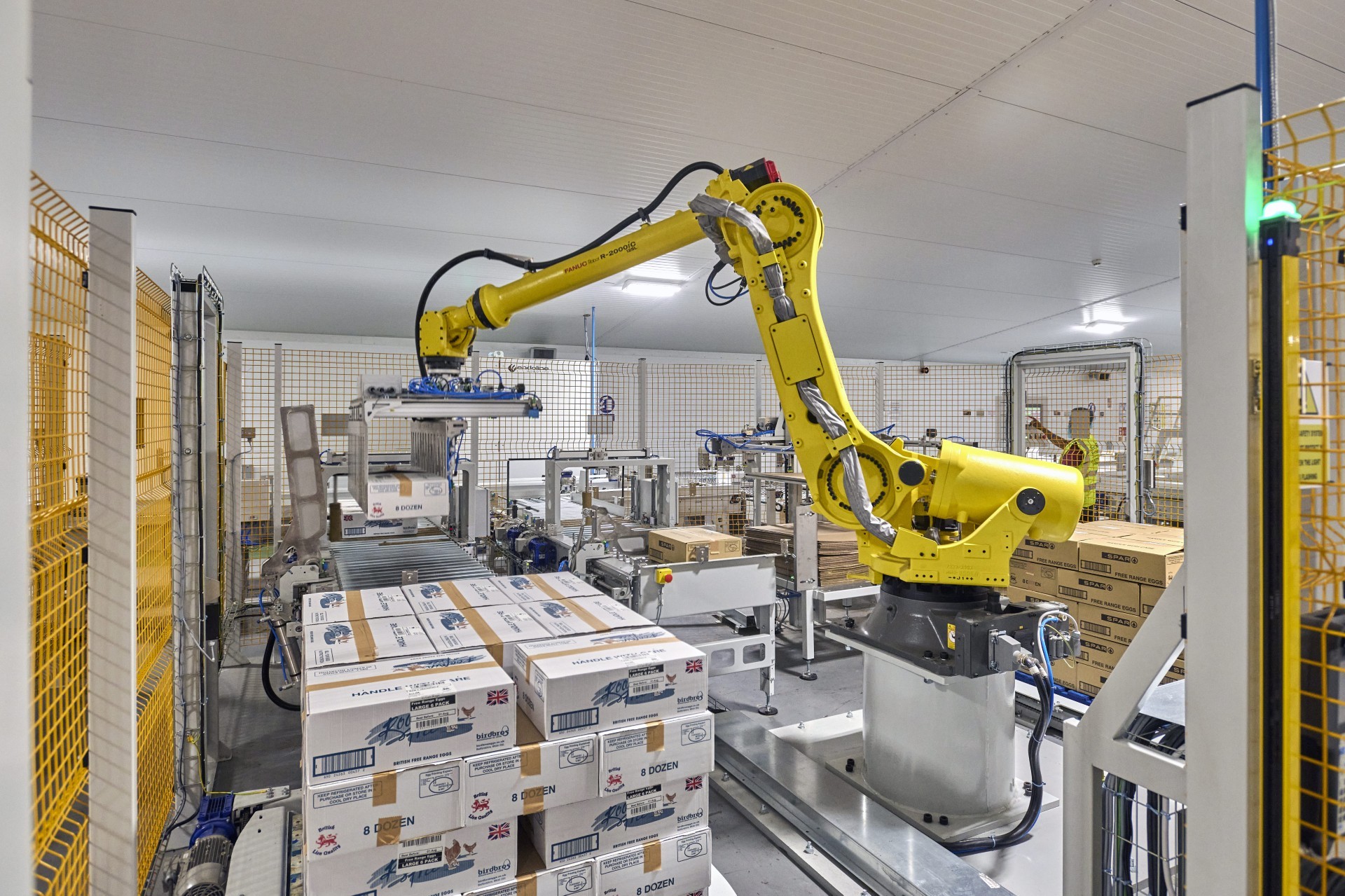Endoline Robotics Enhances Bird Brothers With Automation
